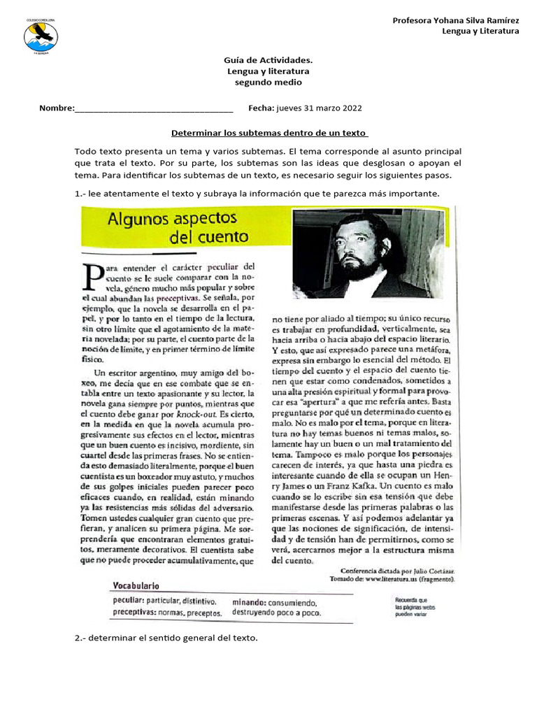 Determinar Los Subtemas Dentro de Un Texto | PDF