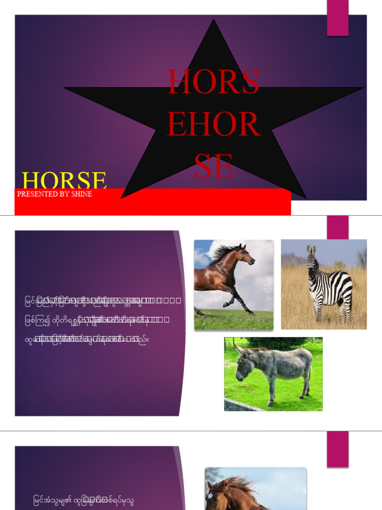 Horse | PDF