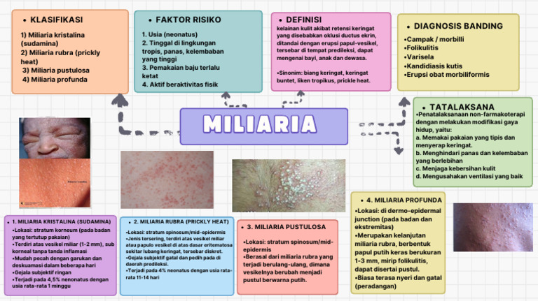Miliaria Mind Map Fix | PDF