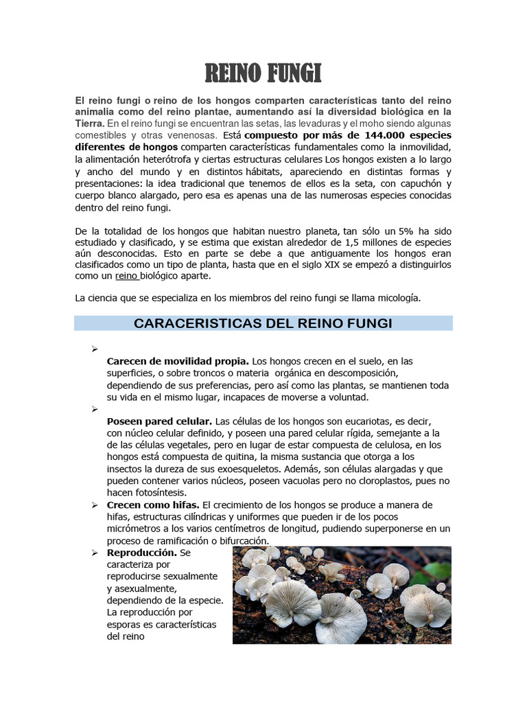 REINO FUNGI EXPOSICION | Descargar gratis PDF | Hongo | Espora