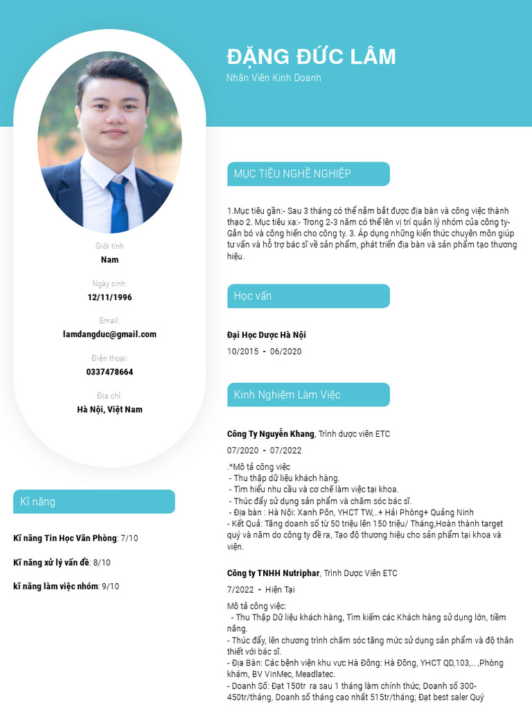 Dang Duc-Lam-Cv MR | PDF