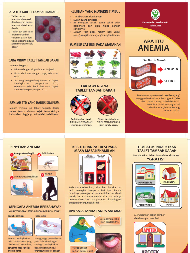 Leaflet Anemia untuk Ibu Hamil | PDF
