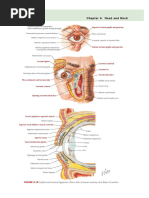 basic-eom-motility | PDF | Anatomical Terms Of Motion | Ophthalmology
