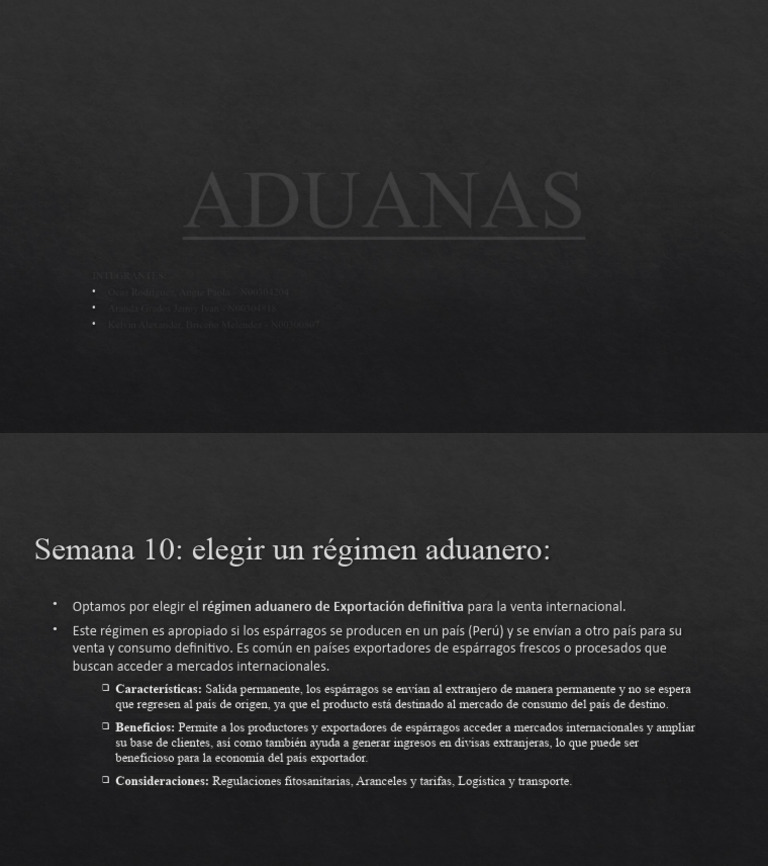 ADUANAS | PDF
