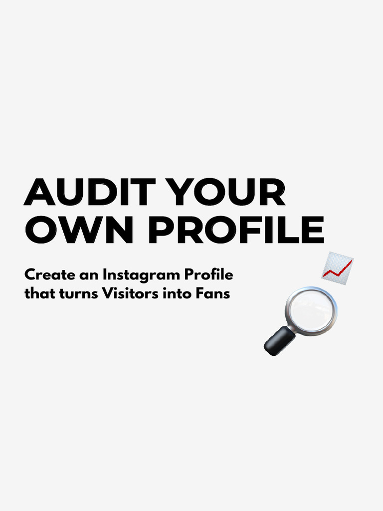 Audit Your Own Profile - TeezyTheTurtle | PDF | Human Communication | Mass Media