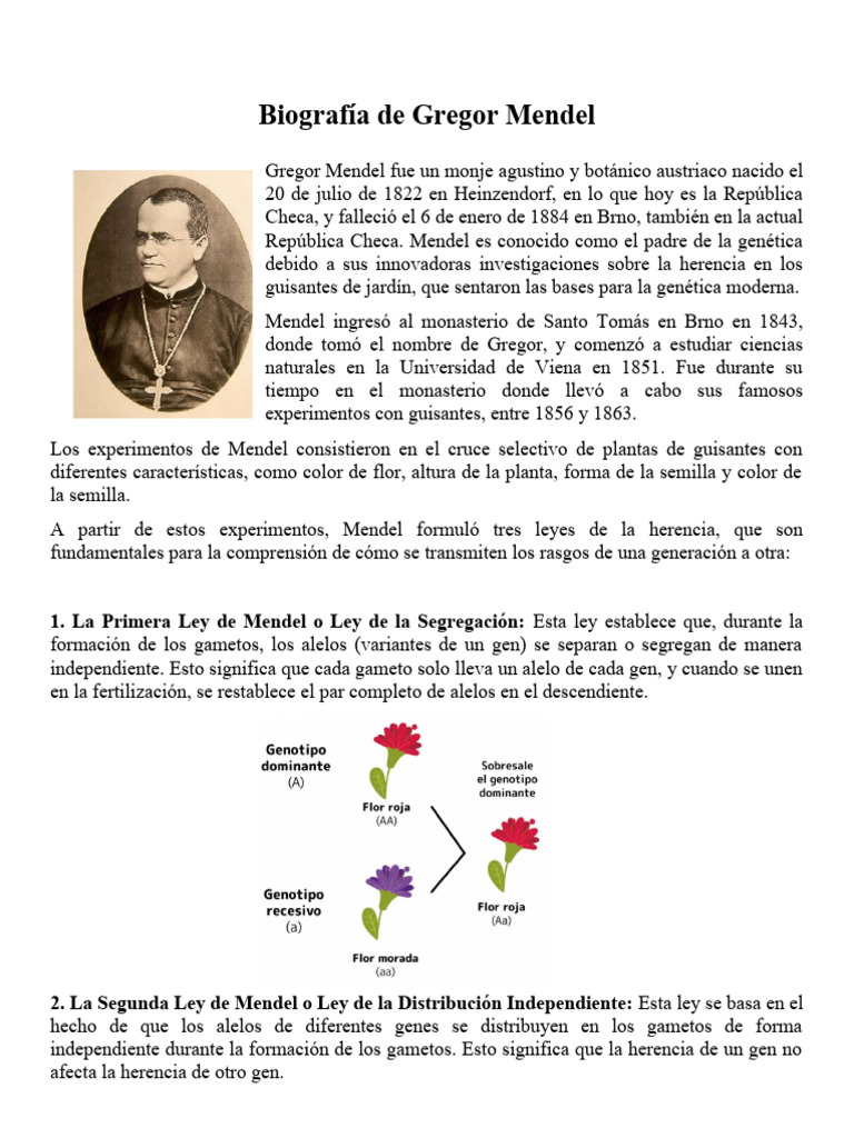 Biografía de Gregor Mendel y su legado genético | PDF | Ciencias de la ...