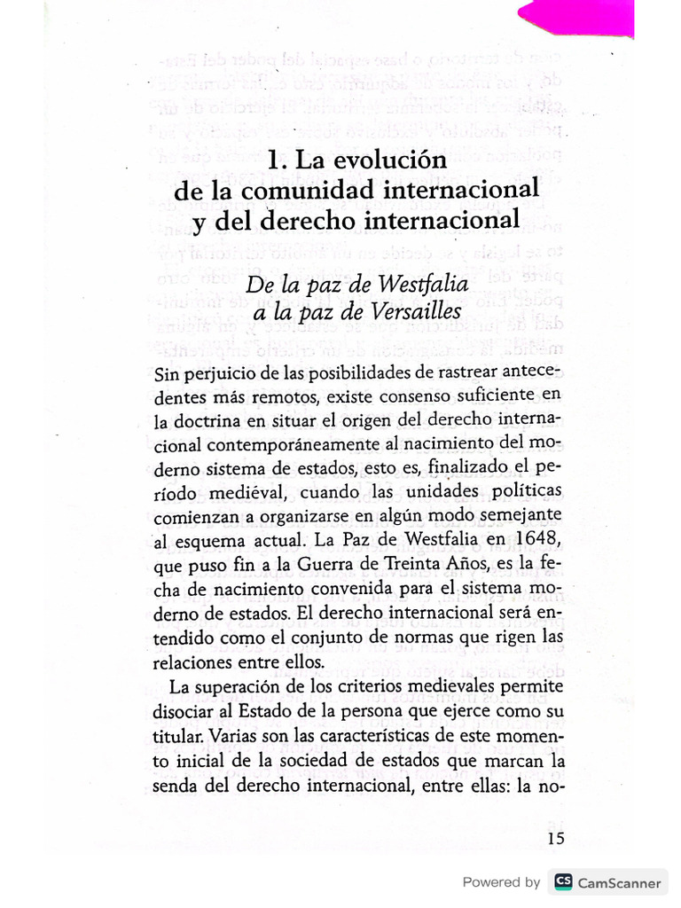 Texto Derecho Internacional - Mónica Pint-1-46 | PDF