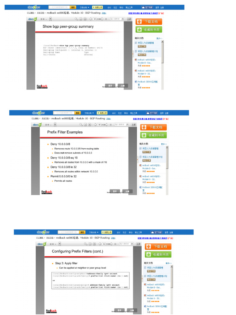 Redback BGP Examples | PDF