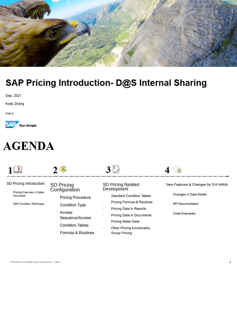 SAP Sales Pricing Overview and Techniques | PDF | Databases | Pricing