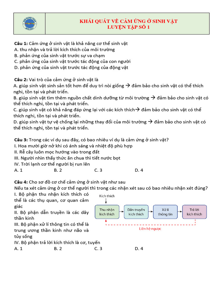 Bài 14-Azota 1 | PDF