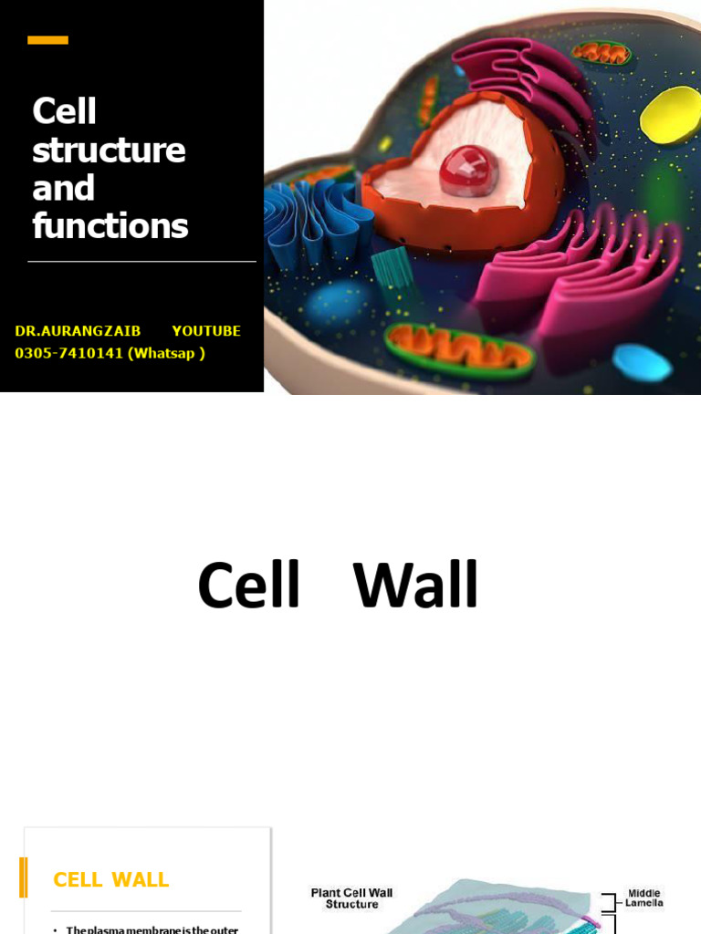 Lec 1-Cell Structure and Function-1 | Download Free PDF | Cell Membrane | Cell Wall