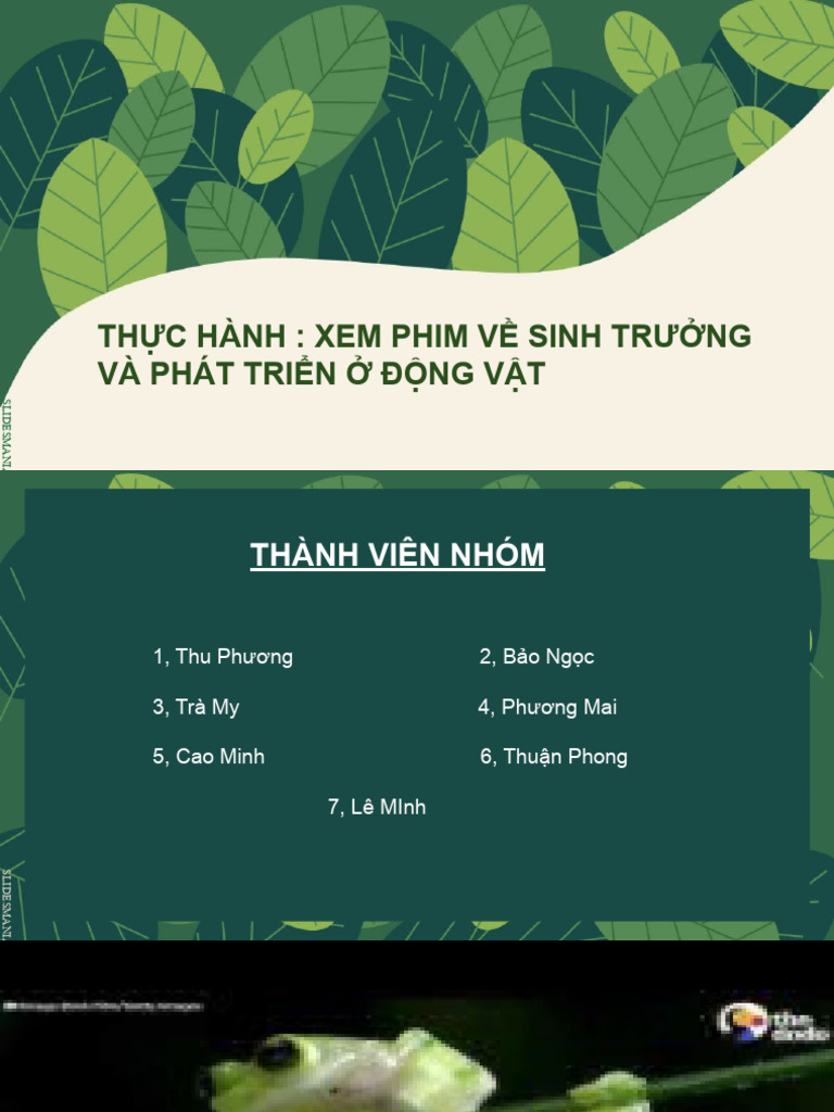 PP Sinh TH C Hành | PDF