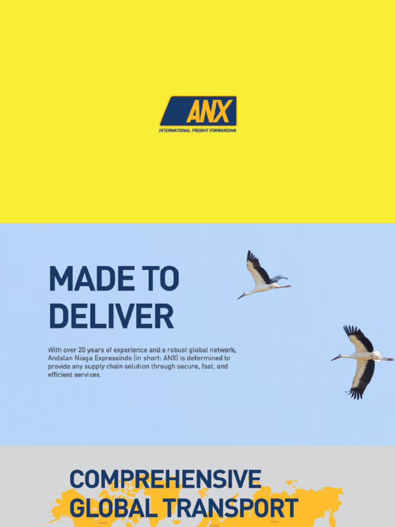 Company Profile ANX | PDF