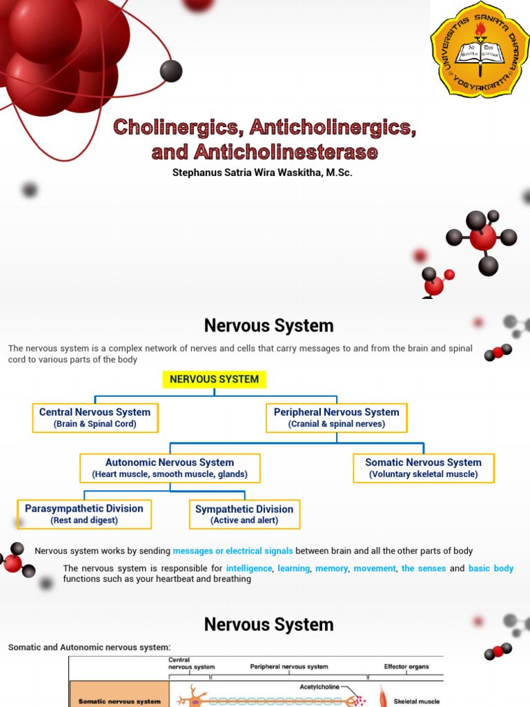 Cholinergics, Anticholinergics, And Anticholinesterases; The Adrenergic ...