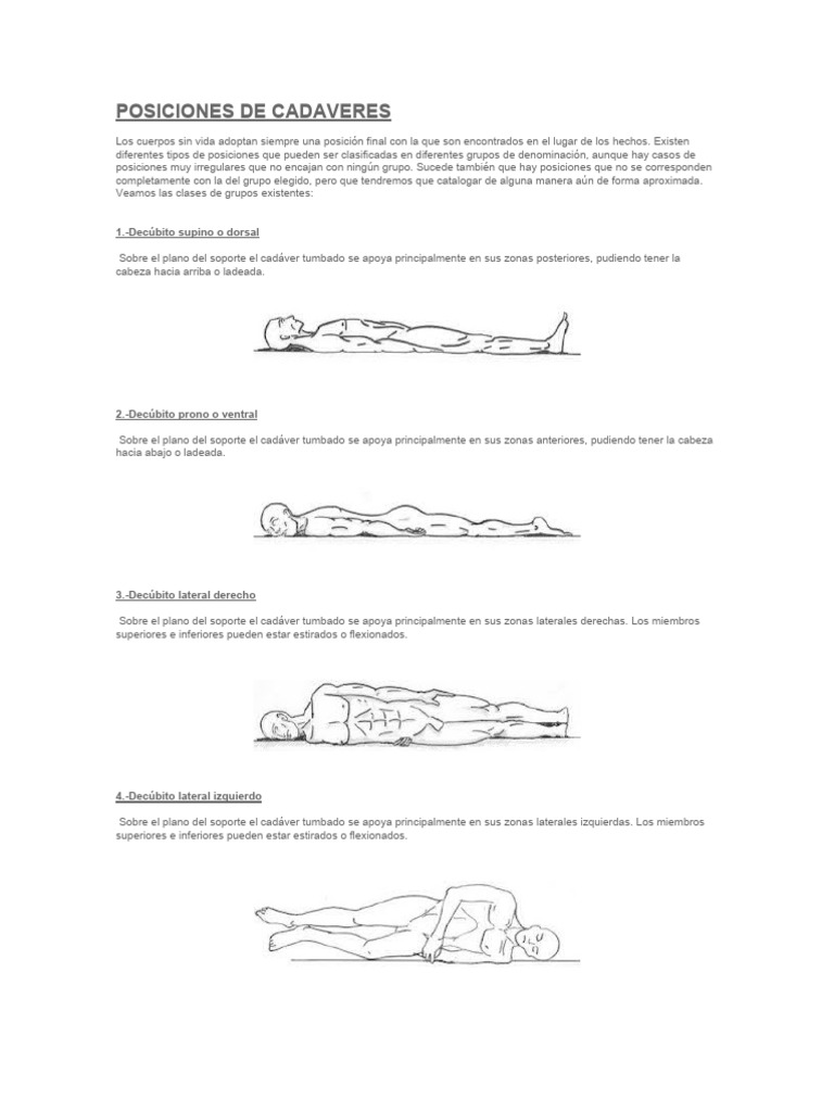 Posiciones de Cadáveres | PDF | Términos anatómicos de ubicación
