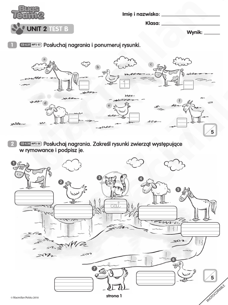 Unit 2 Test B Bugs Team 2 | PDF