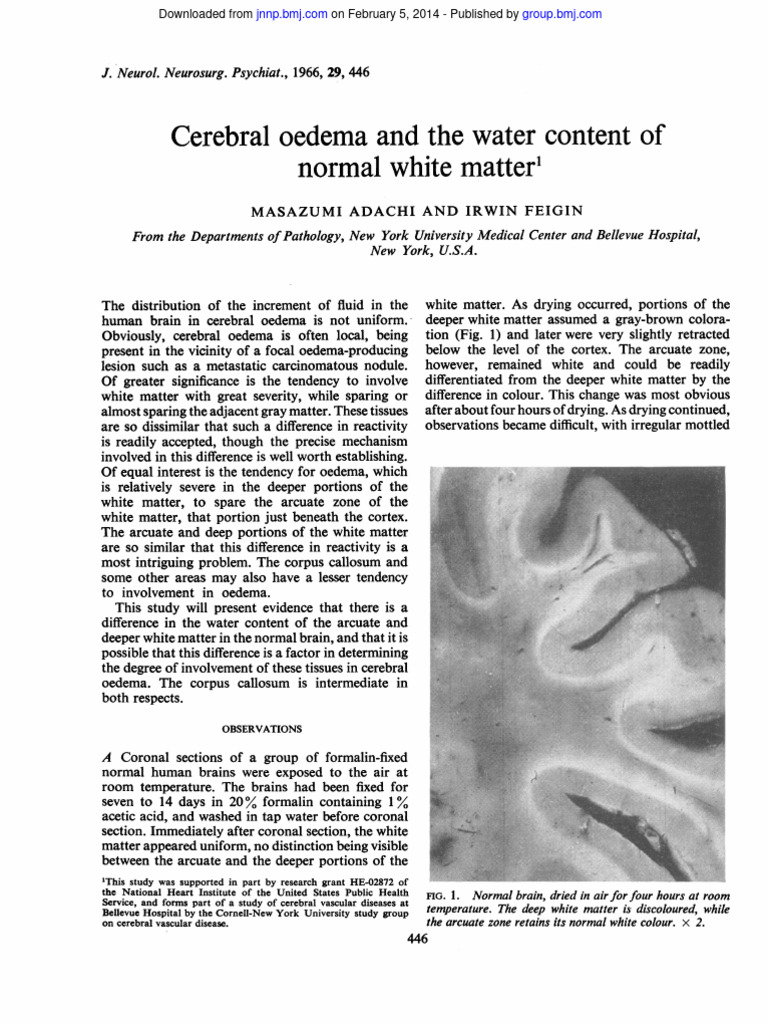 Cerebral Oedema and The Water Content of | PDF | White Matter | Brain