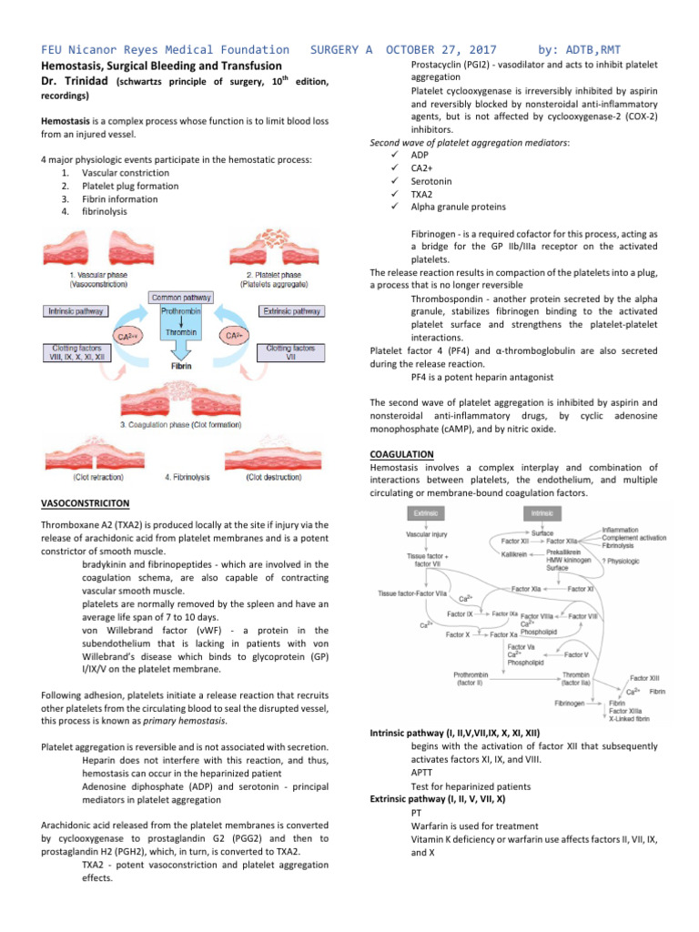 (Basic Surg A) Hemostasis, Surgical Bleeding and Transfusion-Dr. Trinidad (ADTB) | Download Free ...