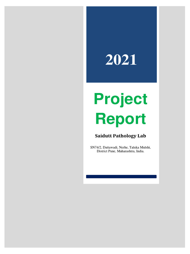 Ms Saidutt Pathology Laboratory - Project Report 2021 | PDF | Expense | Economies