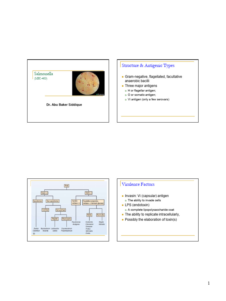 final bactro | PDF | Salmonella | Serotype