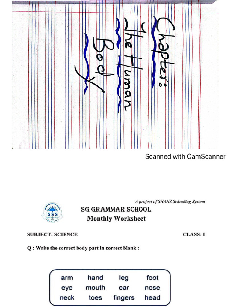 CH The Human Body - 1 | PDF