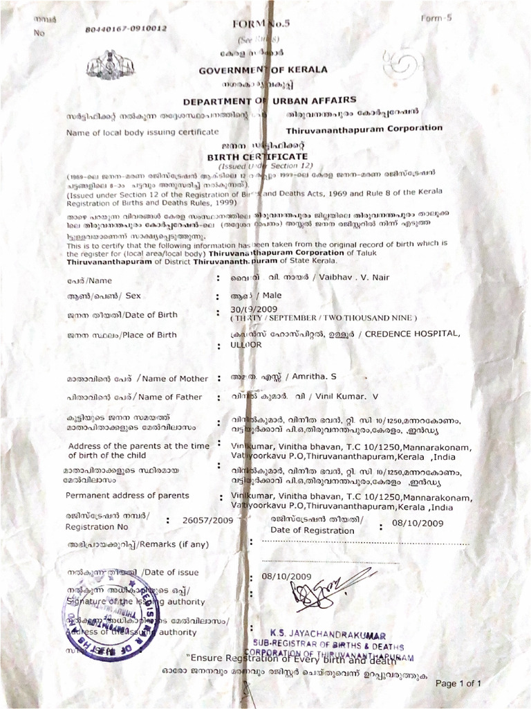 Vichu Birth Certificate | PDF