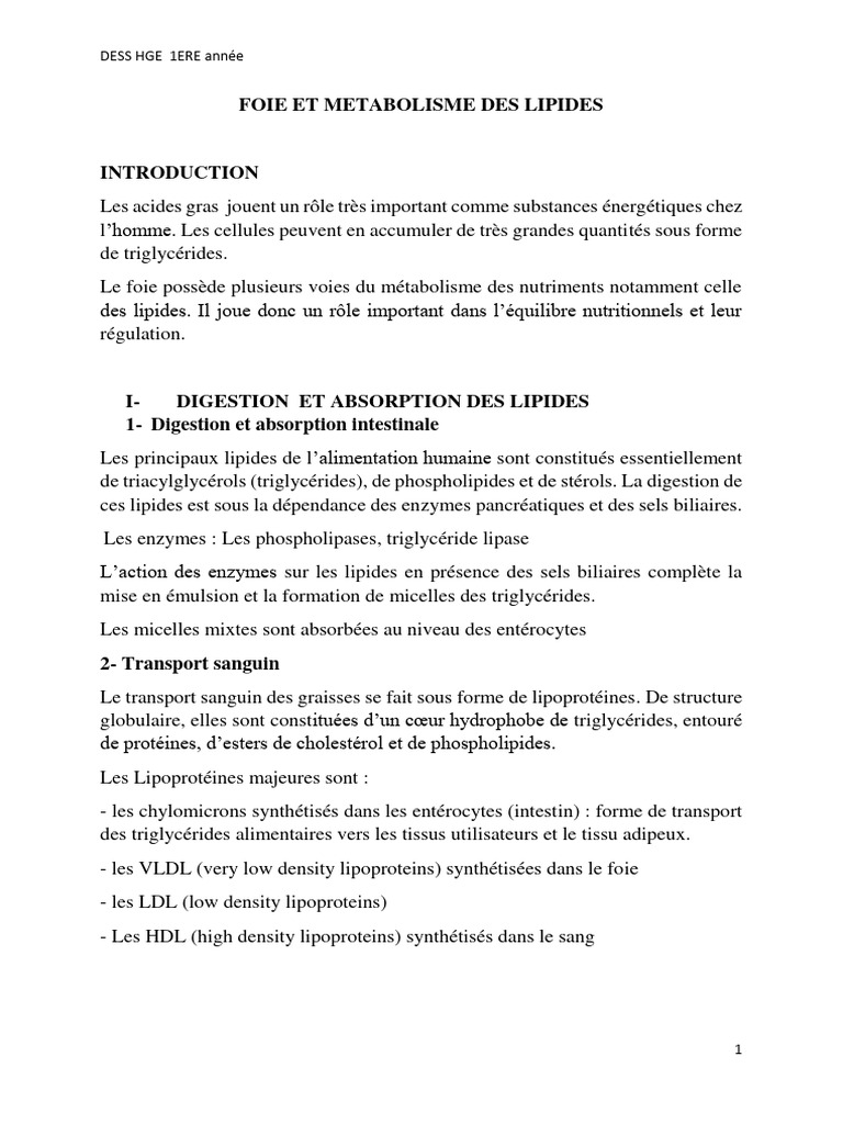 Métabolisme des lipides et foie | PDF | Lipide | Cycle de Krebs