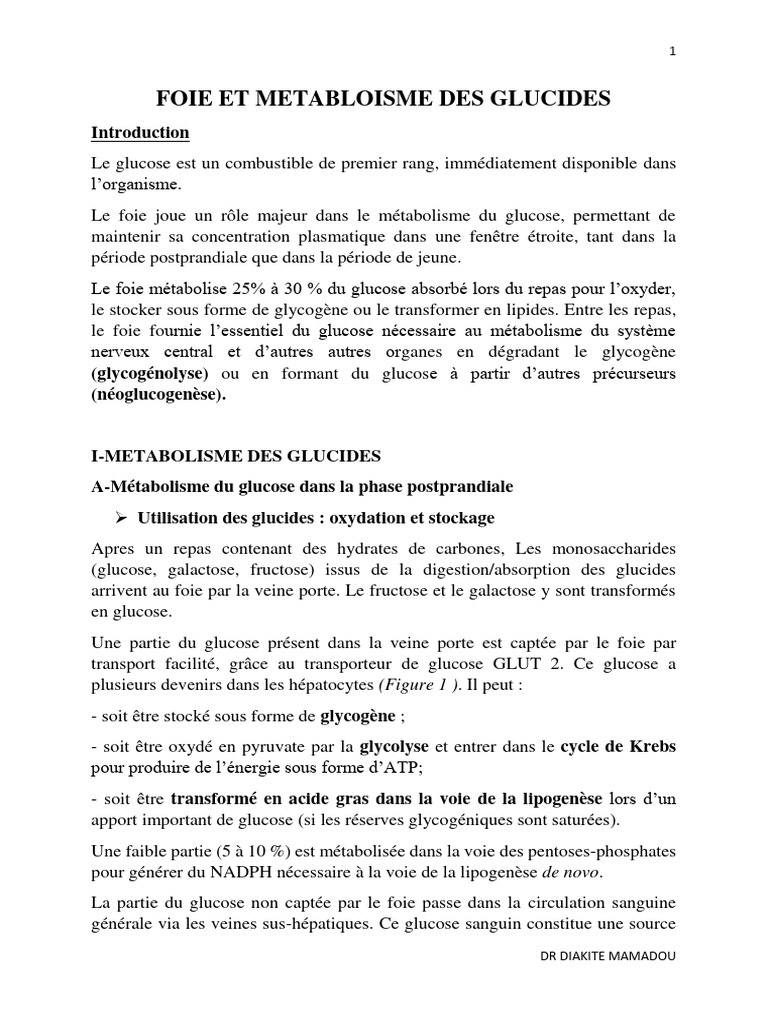 Foie Et Metabolisme Glucides | PDF | Insuline | Glucose