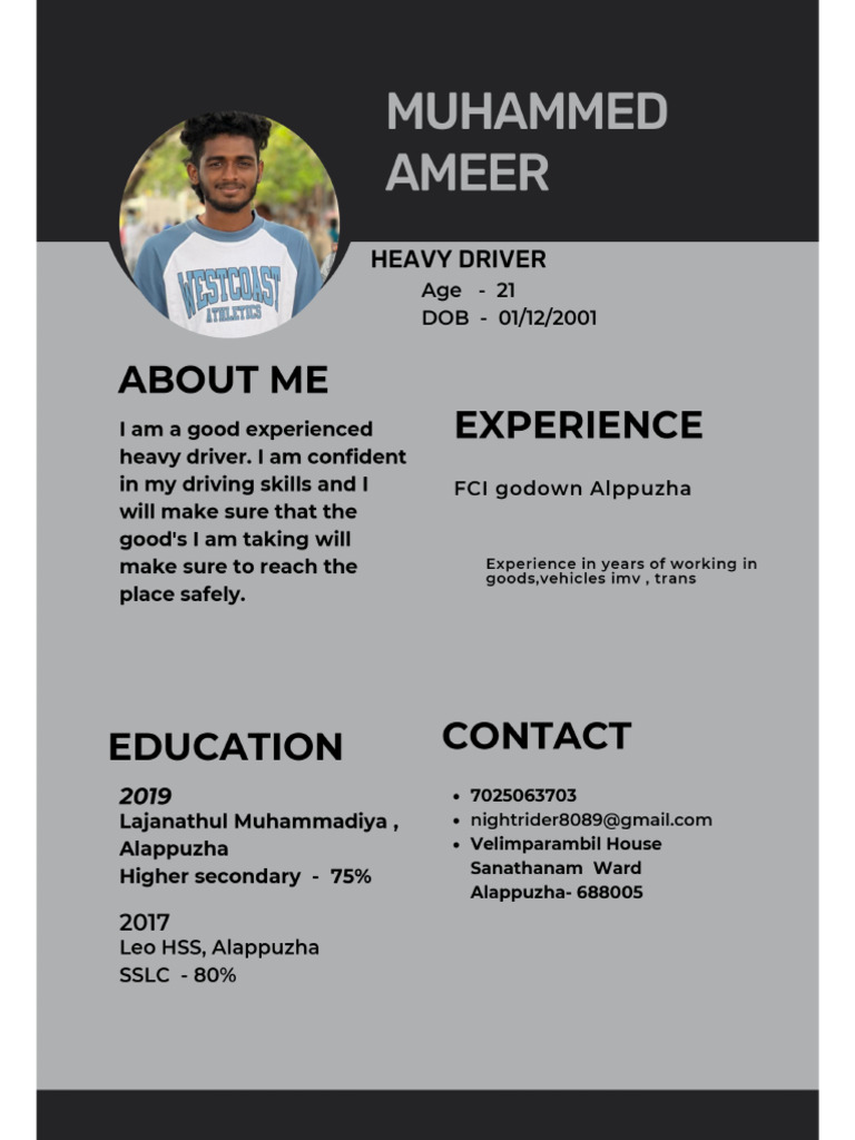 Ameer (Resume) | PDF