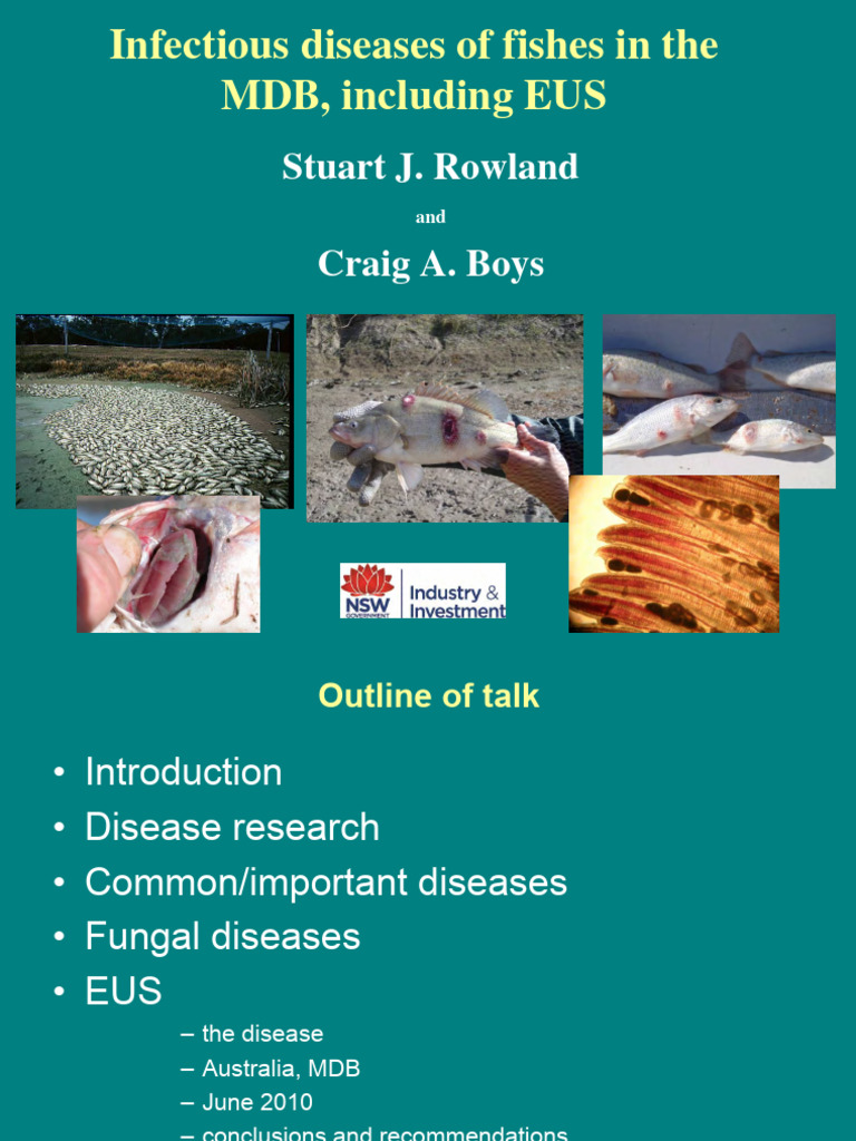 Fish Disease Outbreaks | PDF | Pathogen | Clinical Medicine