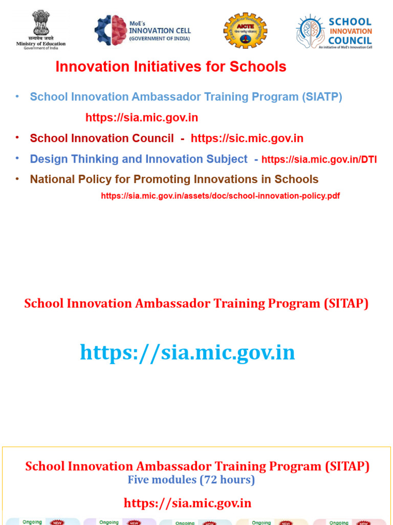 School Innovation Ambassador Program Overview | PDF | Entrepreneurship ...