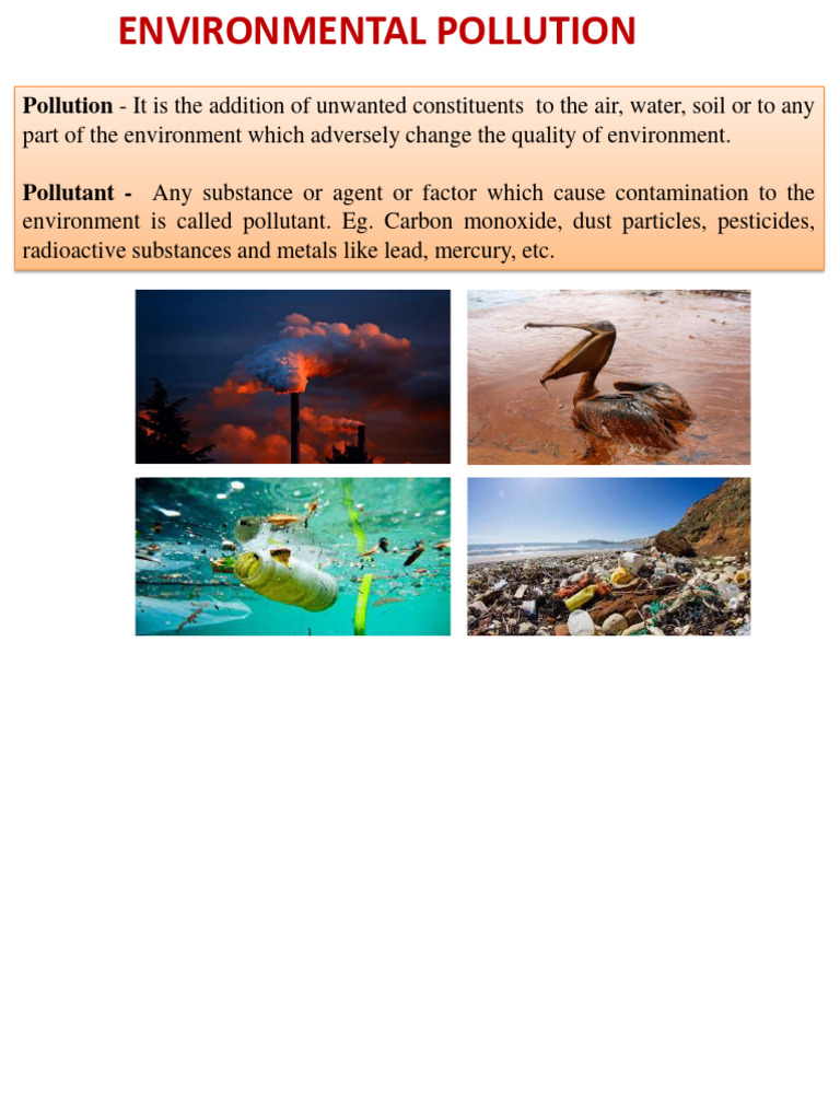 Module 2 Pollution (1) | Download Free PDF | Air Pollution | Water Pollution