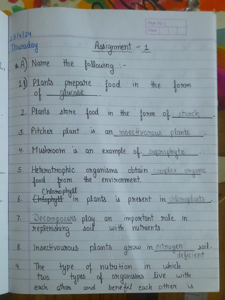Revision Assignment 1 With Answers | PDF | Digestion | Ruminant