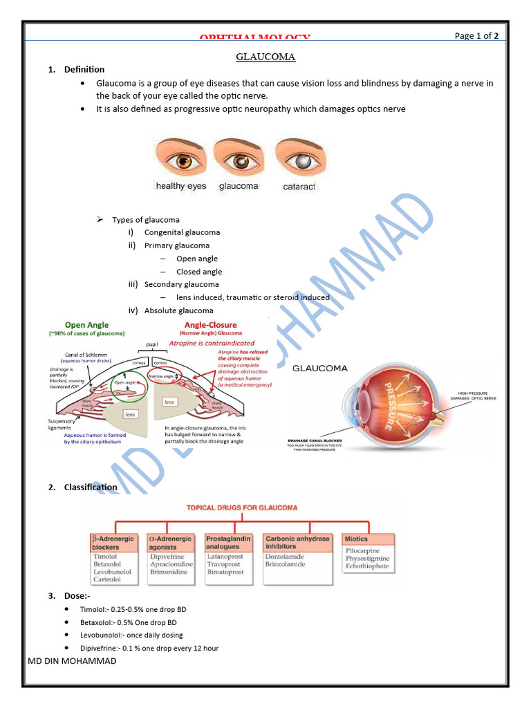 L-3 Glaucoma | PDF