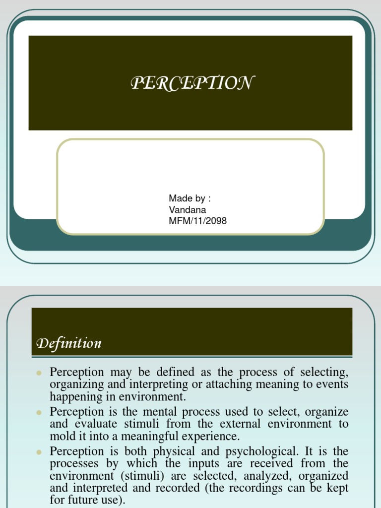 Understanding Perception Processes | PDF | Perception | Subjective ...