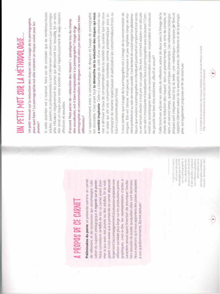 Livret Thèorique_Regards Sur La Pornographie | PDF