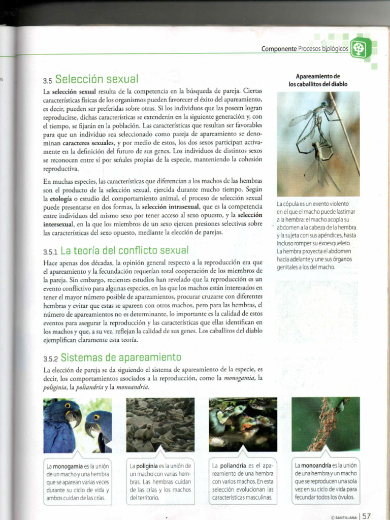 selección sexual | PDF