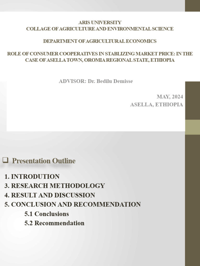 Ashe Research Repport | PDF | Sampling (Statistics) | Data