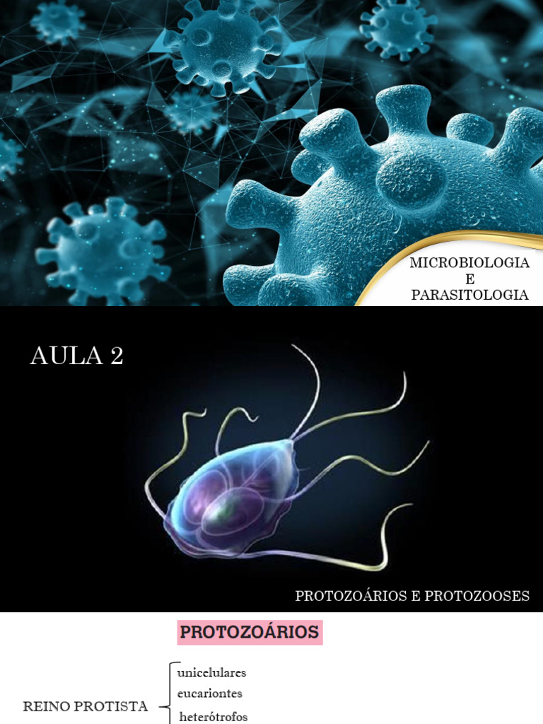 Aula 2 - Protozoários e Protozooses | PDF | Protozoários | Plasmodium