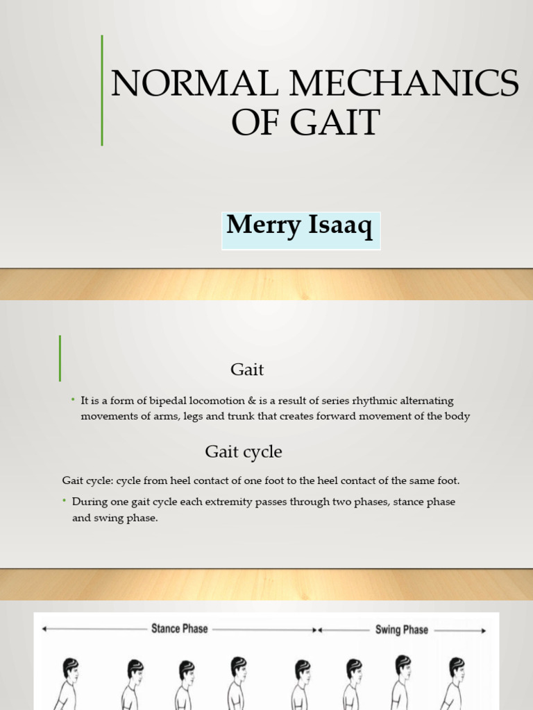 Normal Gait | PDF | Anatomical Terms Of Motion | Knee