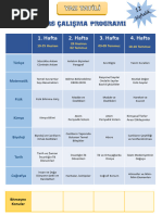 Tyt Calisma Programi 3 Aylik | PDF