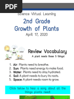 Basic Needs of Living Things Worksheet | PDF