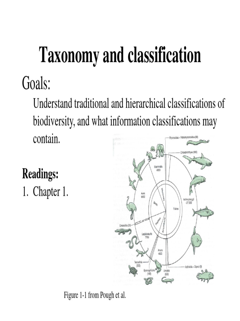 2009_WFSC_302_Taxonomy_and_classification_updated_Compatibility | PDF ...