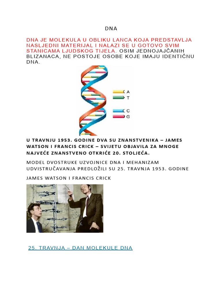 Dna Je Molekula U Obliku Lanca Koja Predstavlja Nasljedni Materijal I Nalazi Se U Gotovo Svim ...