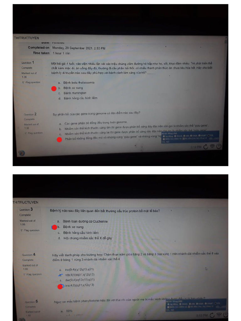 Di Truyền RHM 20 21 | PDF