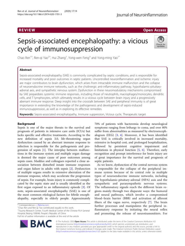 Sepsis-Associated Encephalopathy: A Vicious Cycle of Immunosuppression ...