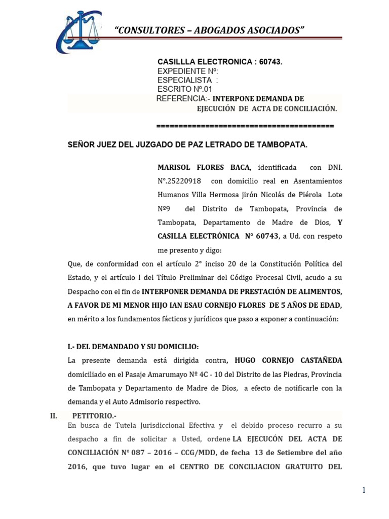 Demanda de Ejecucion de Acta Marisol | PDF | Demanda judicial | Debido ...
