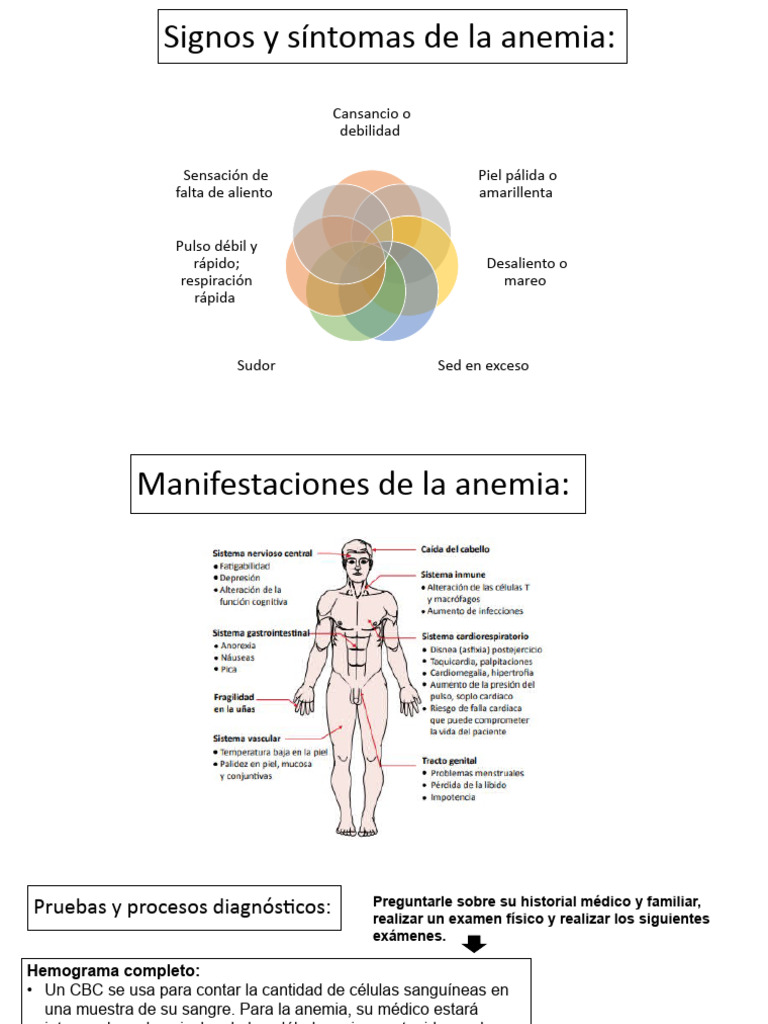 Signos y Síntomas de La Anemia [Autoguardado] | Descargar gratis PDF ...