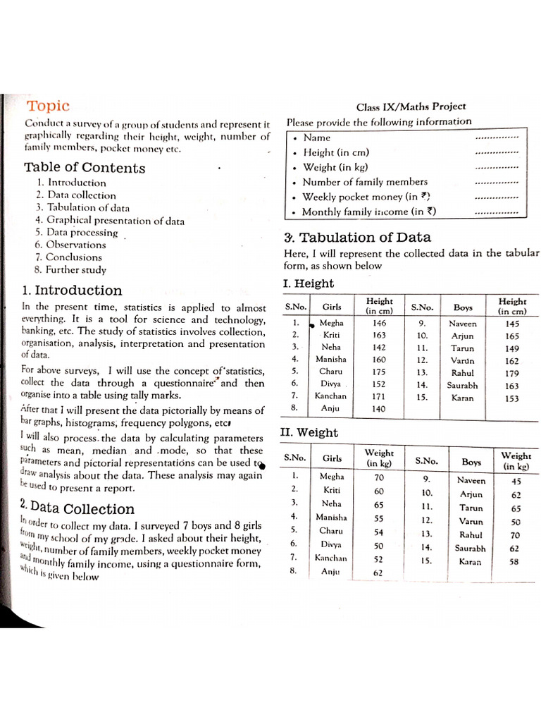 Maths Project 1 Std.9 | PDF