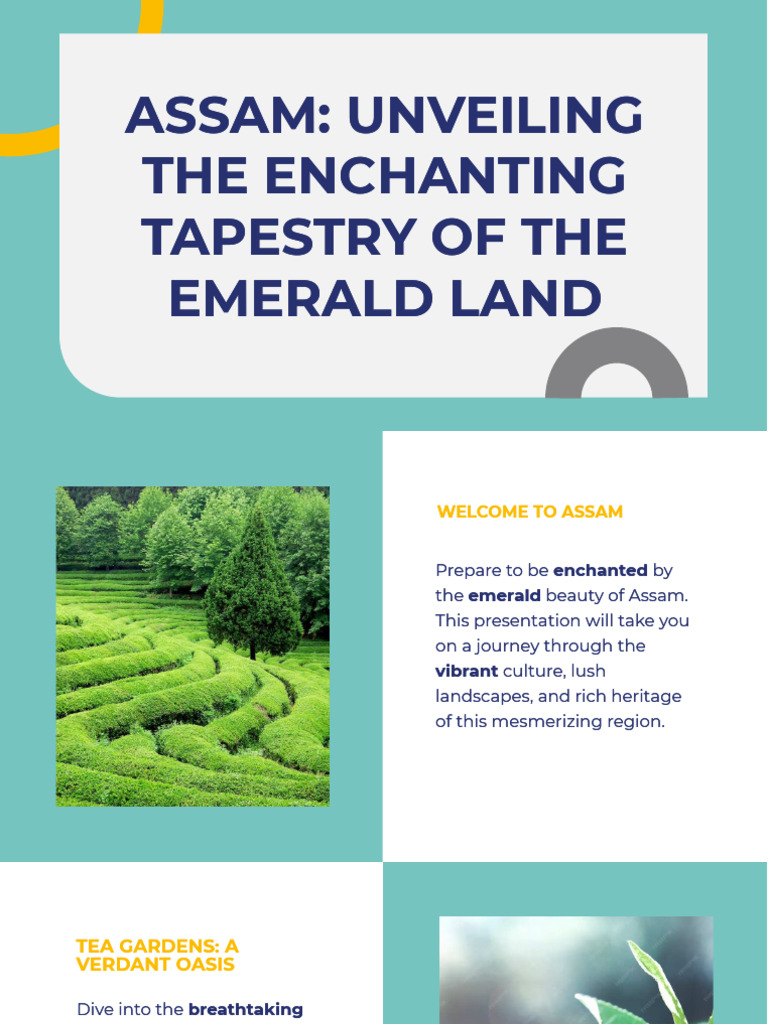 Assam Project by Tanvith | PDF